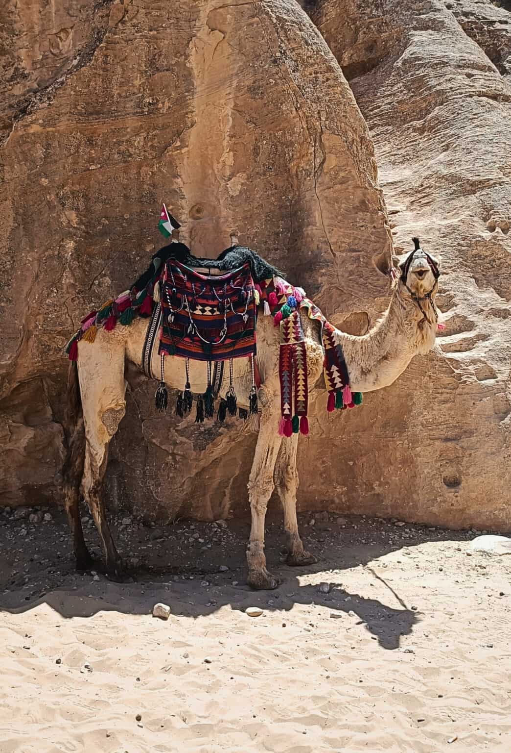 Is Jordan Safe for Female Travelers in 2025? A Traveler’s First-Hand ...